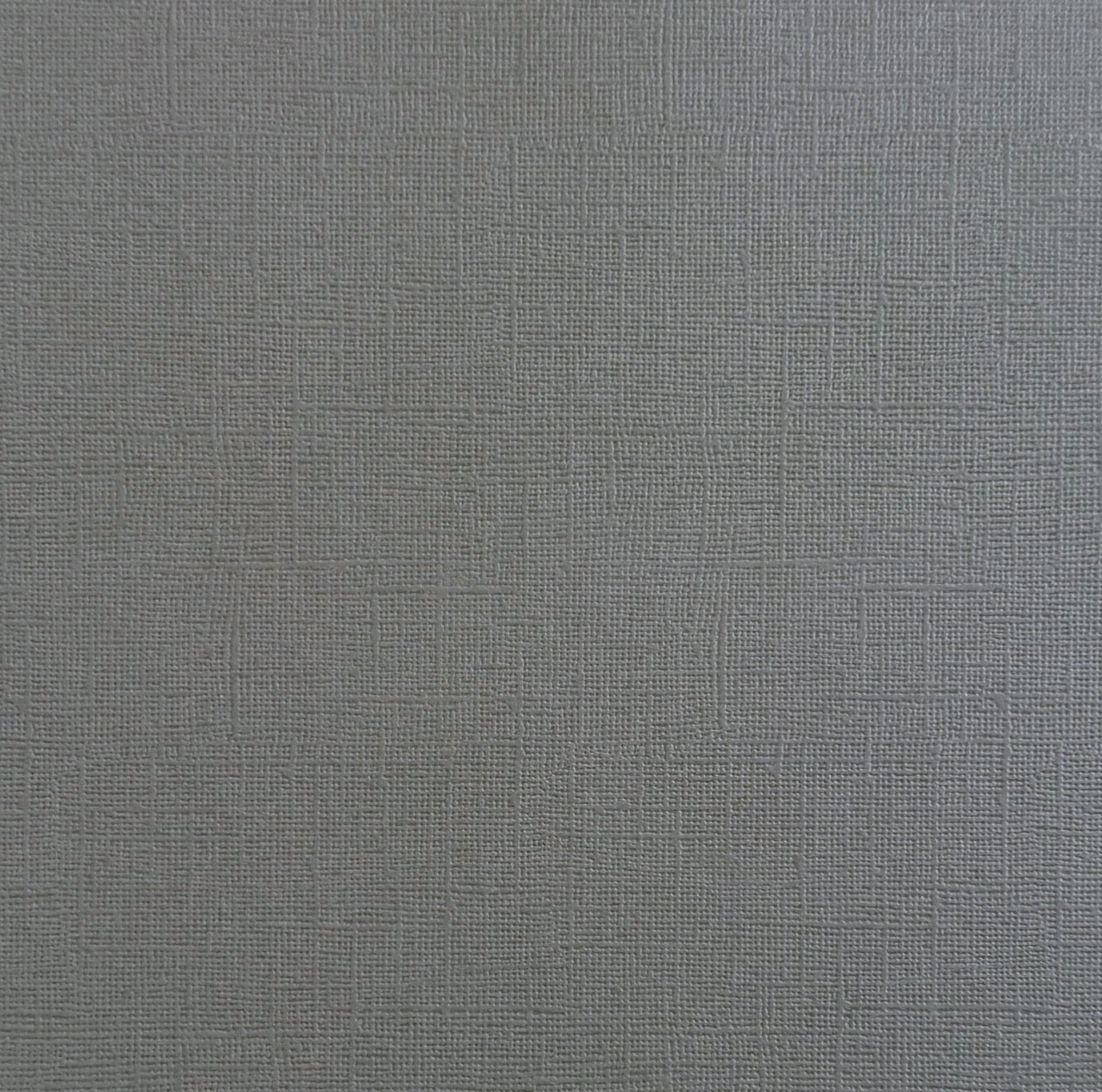 DOLPHIN 12x12 Textured Gray Cardstock - Encore Paper