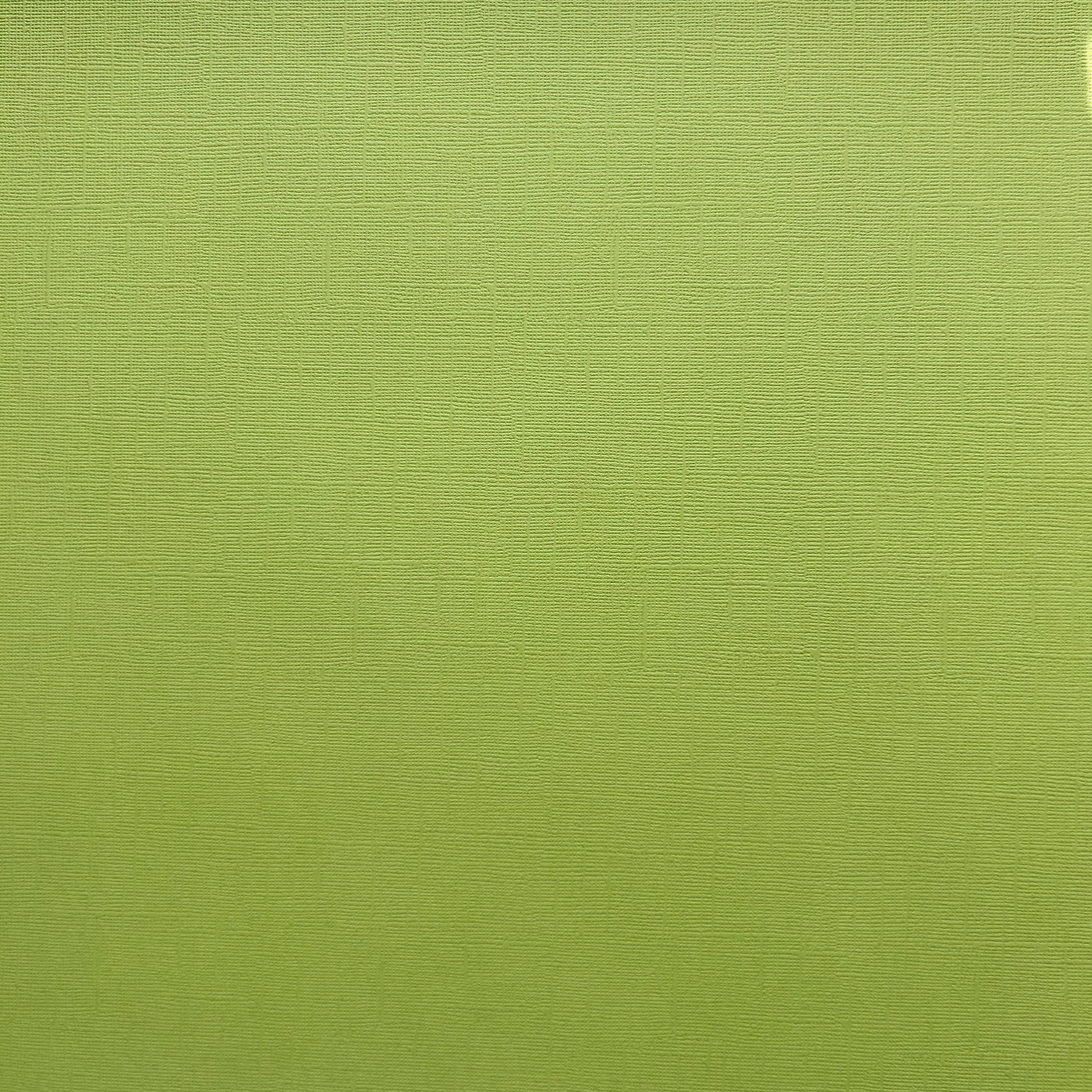 GREEN TOMATO 12x12 Textured Bright Green Cardstock - Encore Paper