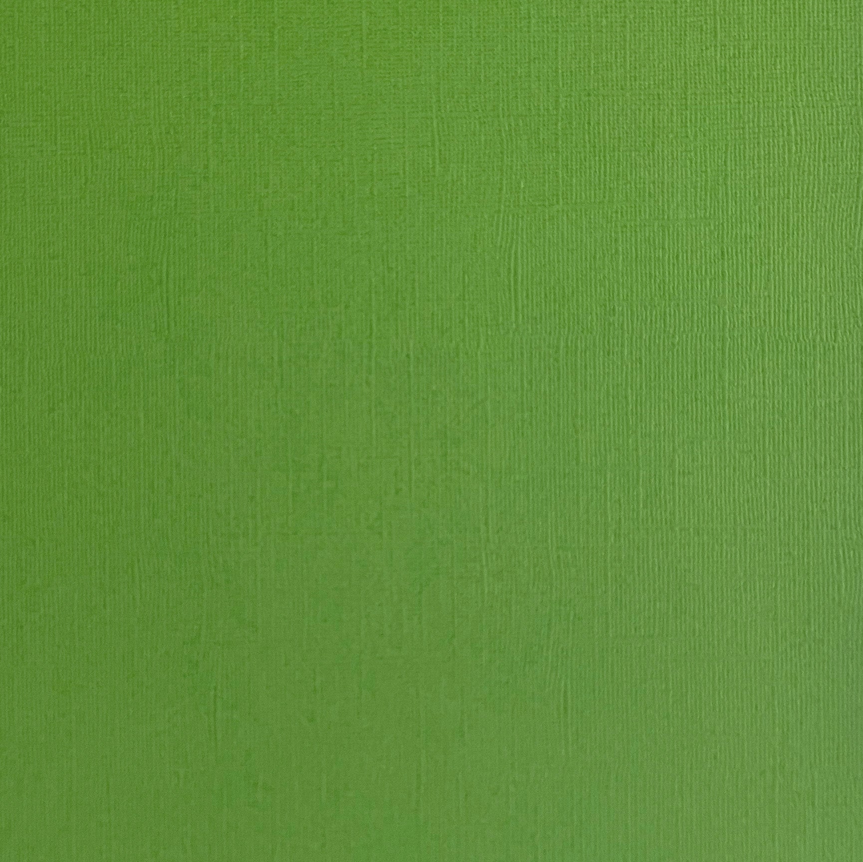 PARSLEY 12x12 Textured Green Cardstock - Encore Paper