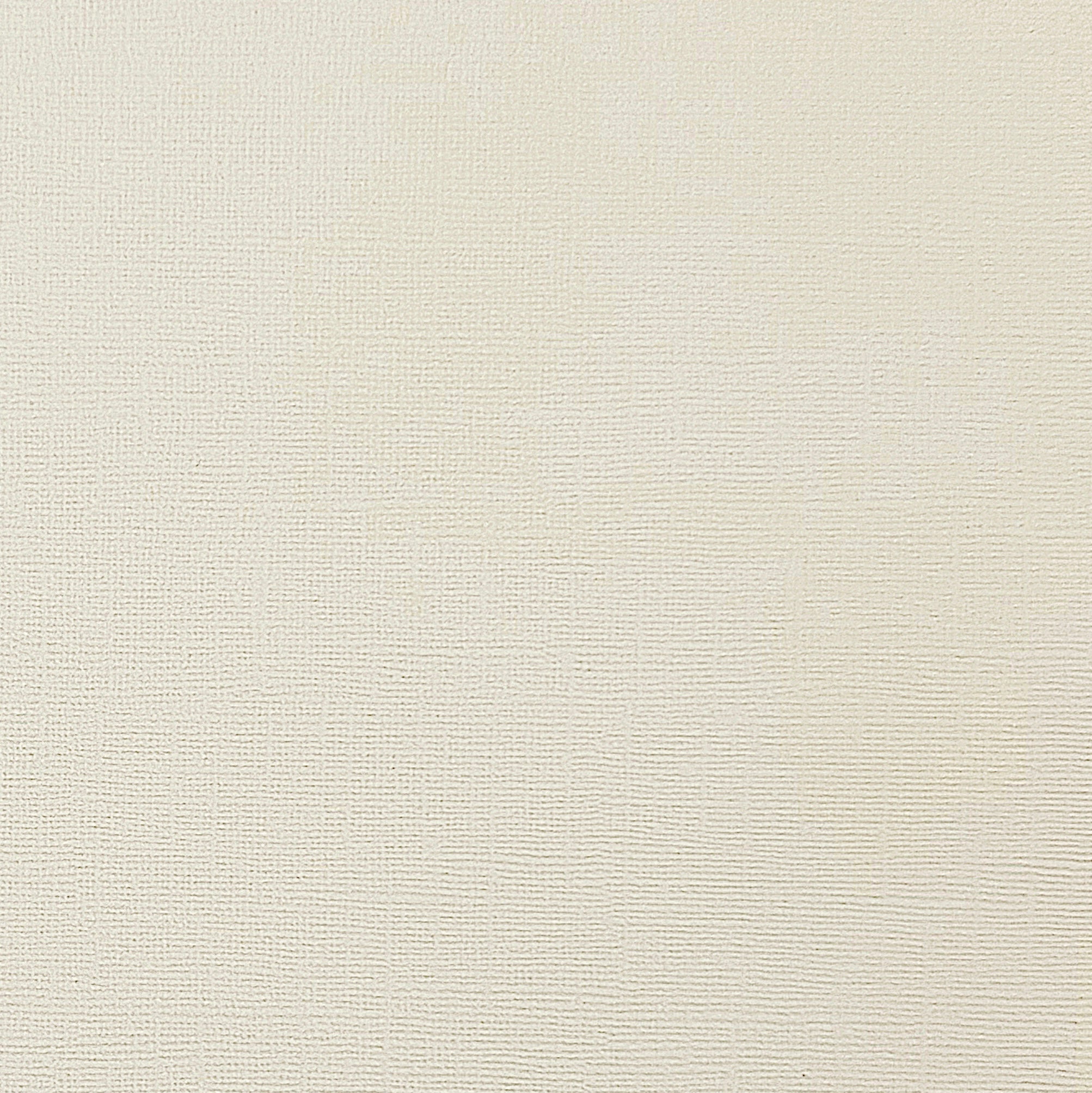 RIVER ROCK 12x12 Textured Light Gray Cardstock - Encore Paper