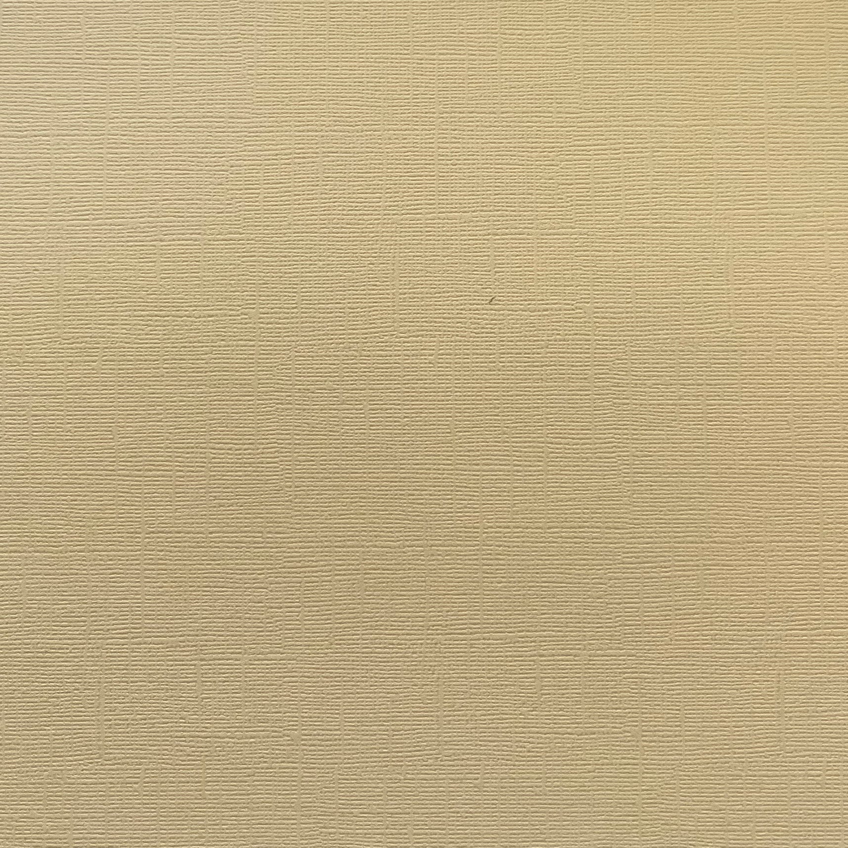 Winter Wheat 12x12 Textured Tan Cardstock - Encore Paper
